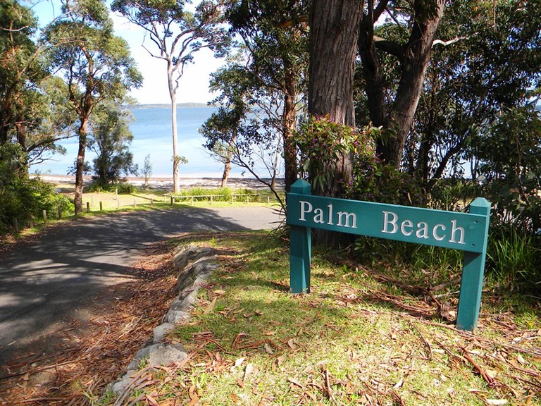 Walk / Run and Socialise Program - Nowra Athletics Club.